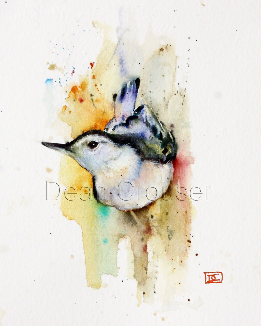 WHITE BREASTED NUTHATCH Watercolor Print by Dean Crouser - Etsy
