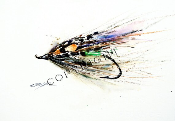 Dibujo De Mosca De Pesca