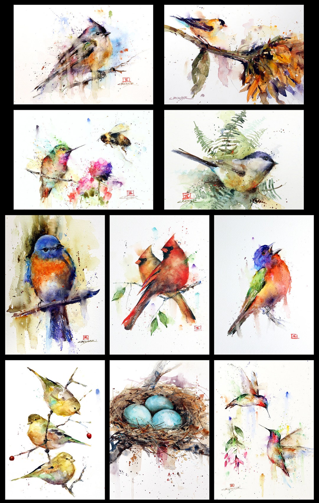 Dean Crouser Watercolor Bird Greeting Cards - Set of 10 - Etsy