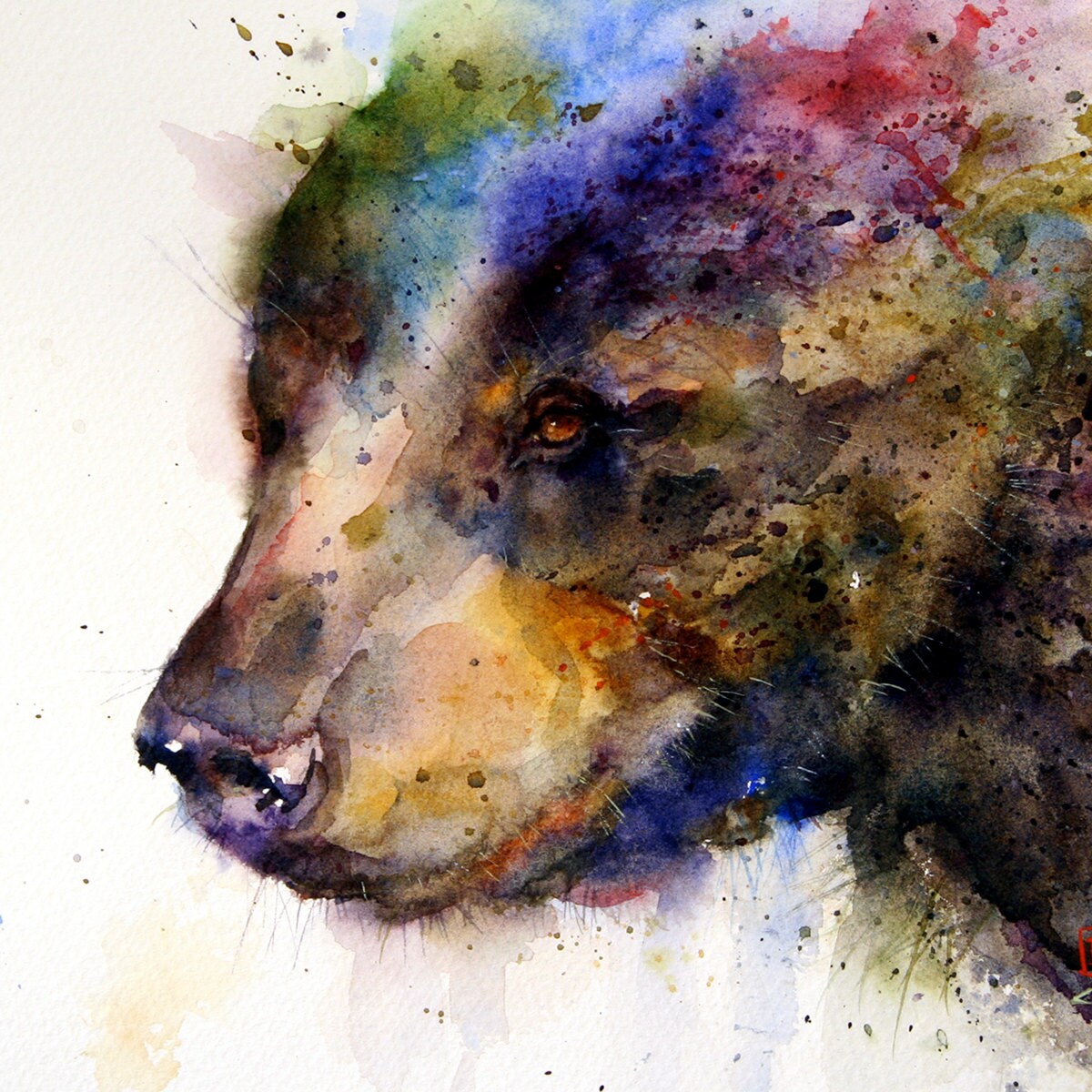 BLACK BEAR Watercolor Nature Art Print Bear Painting by Dean - Etsy Canada