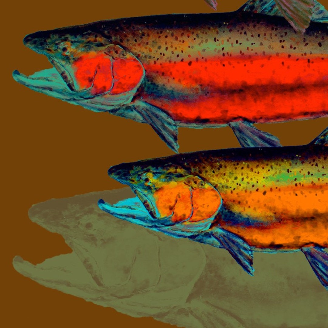 FISH Graphic Abstract Colorful Trout Print by Dean Crouser - Etsy
