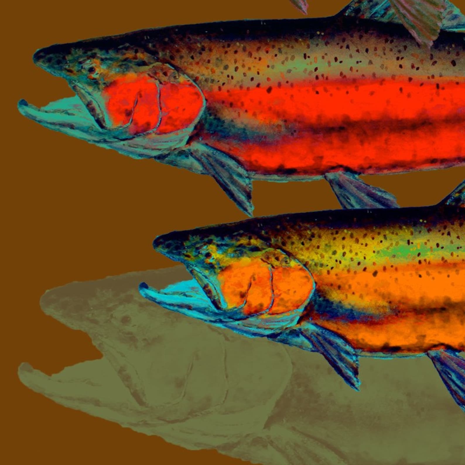 COLORFUL FISH Print by Dean Crouser - Etsy