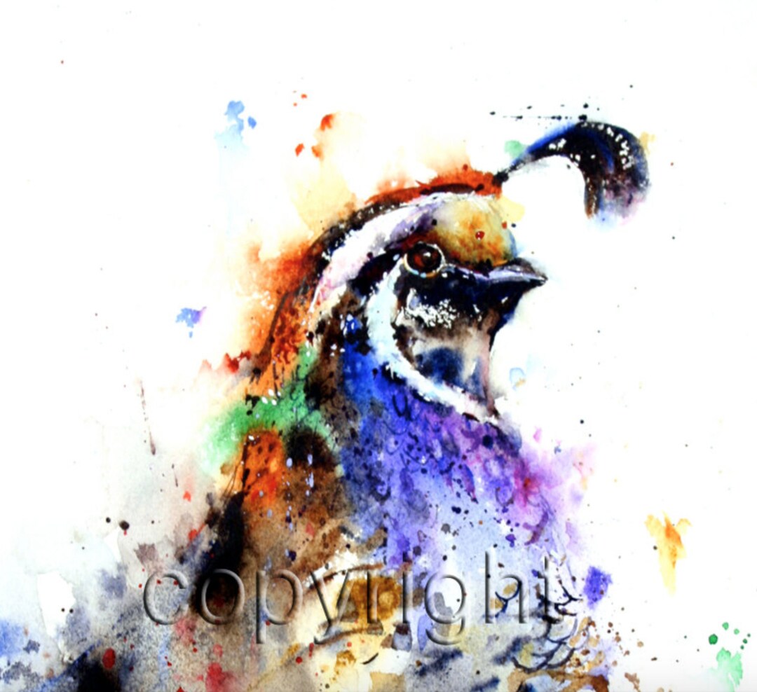QUAIL Watercolor Bird Print, Quail Art Painting by Dean Crouser - Etsy