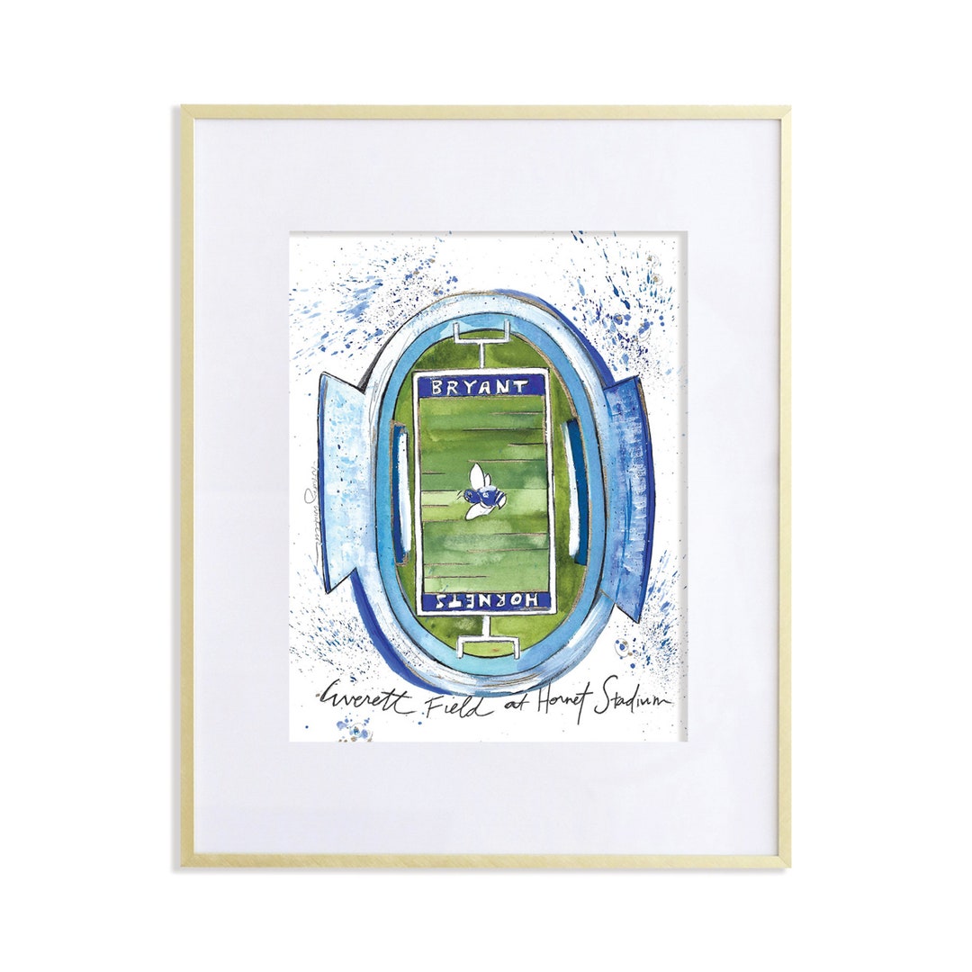 8x10 Original Everett Field at Hornet Stadium - Etsy