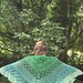 Enchanted Forest Lace Shawl - Etsy