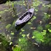 Fishtank Decoration, Floating Boat for Fishtank, Aquarium Gift - Etsy