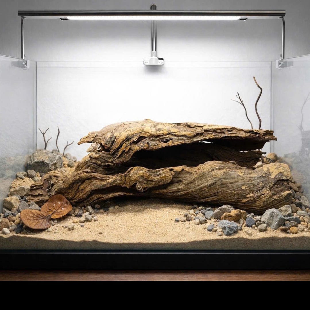 Natural Driftwood Aquarium Wood, Solid Wood Aquascape Decor, Terrarium ...