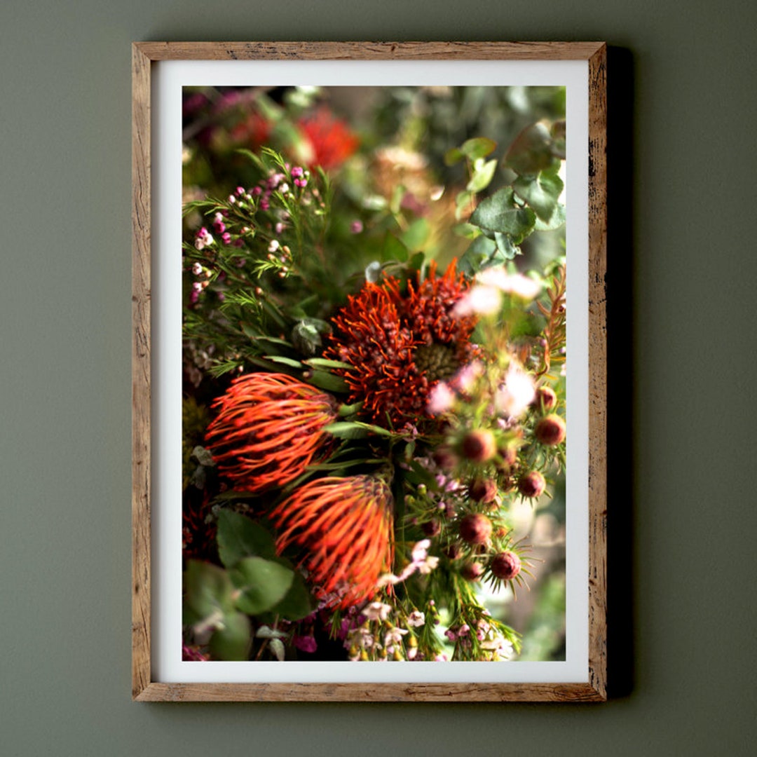 Canberra Australian Native Wildflowers - Fine Photography Print - Large ...