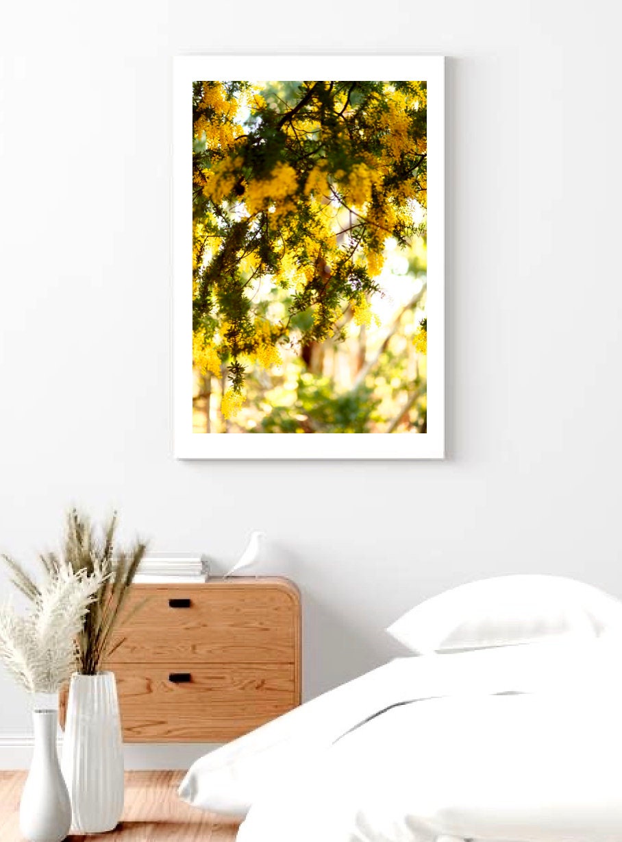 Acacia d'été doré impression photographie photo d'art mural lac ...