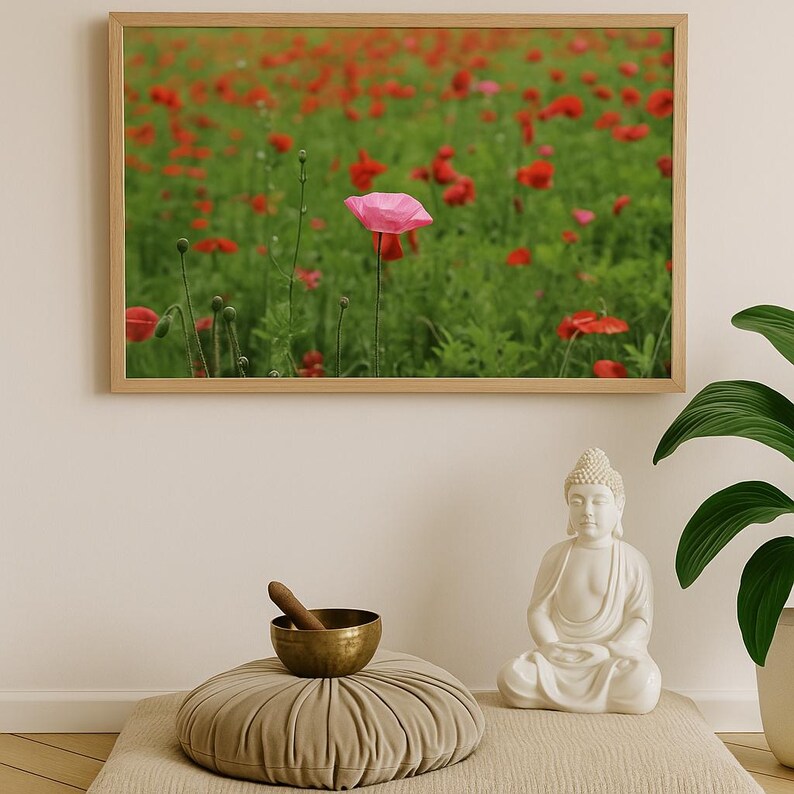 The One in Pink – Poppy Field Photography | Nature Wall Art | Botanical ...