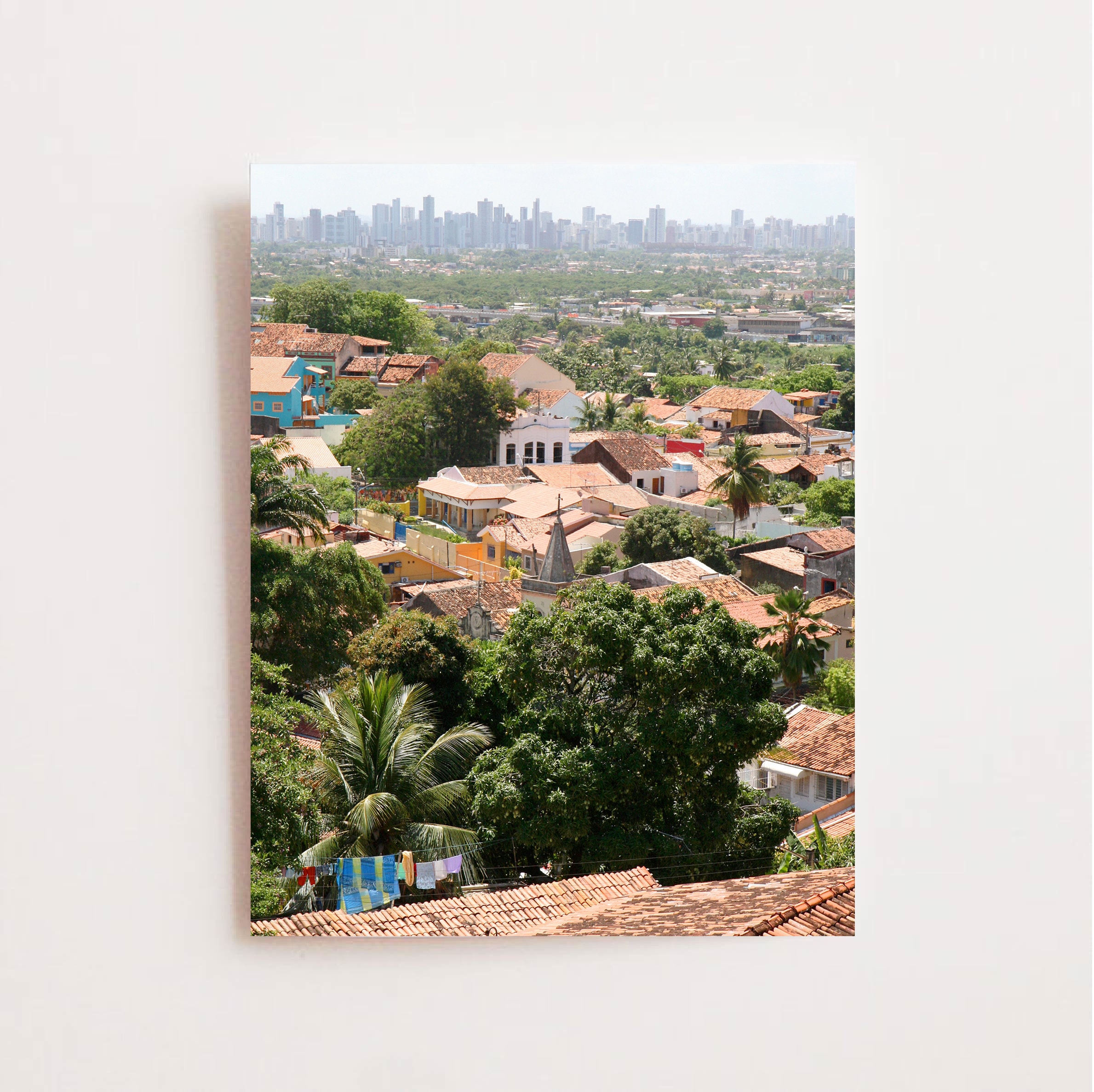 Brazilian Landscape