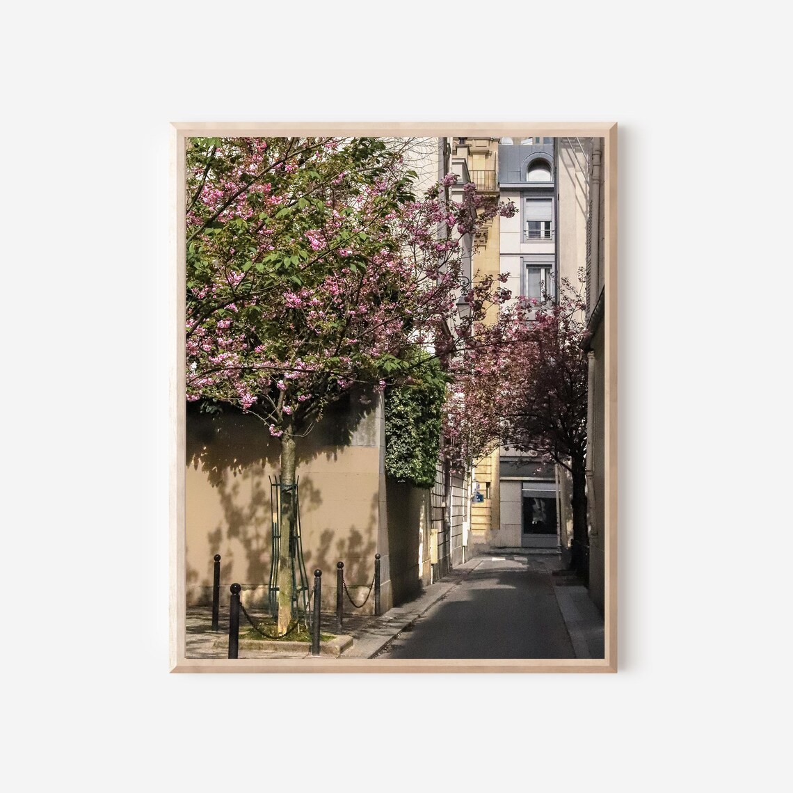 Paris Alley Photography Print: Spring Cherry Blossoms, French Decor - Etsy