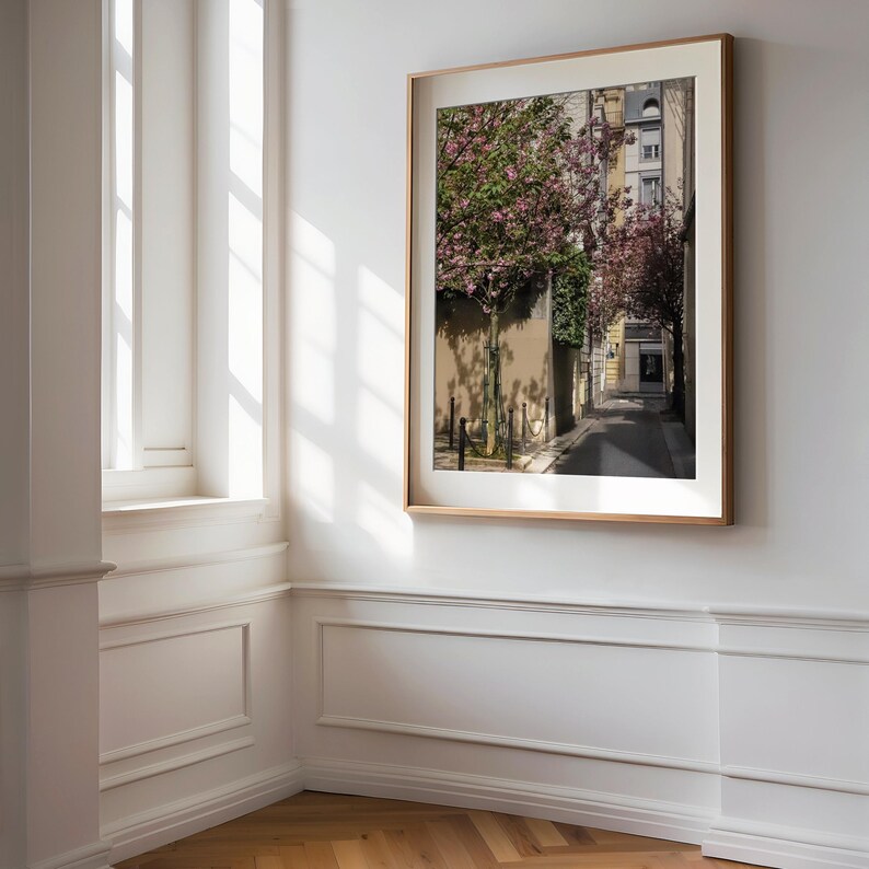 Paris Alley Photography Print: Spring Cherry Blossoms, French Decor - Etsy