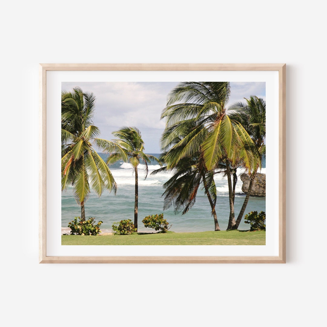 Caribbean Wall Art, Barbados Photography, Palm Tree Print, Island ...