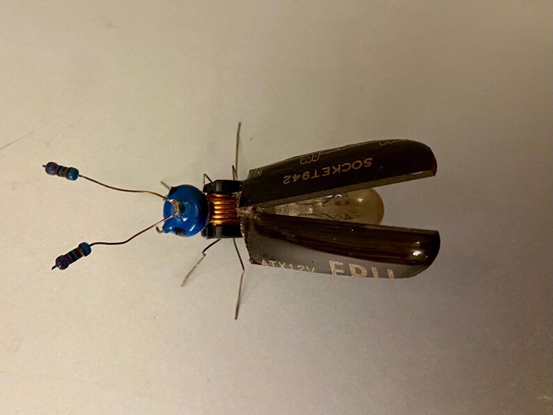 Socket the Lightning Bug - Etsy