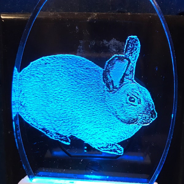Bunny Night Light - Etsy