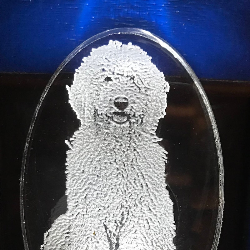 Goldendoodle Lamp - Etsy
