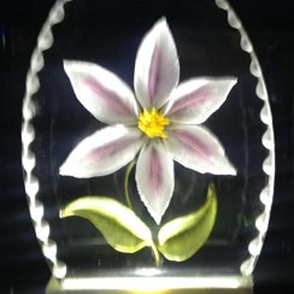 Stargazer Lily - Etsy