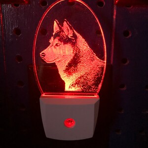 Siberian Husky Night Light - Etsy