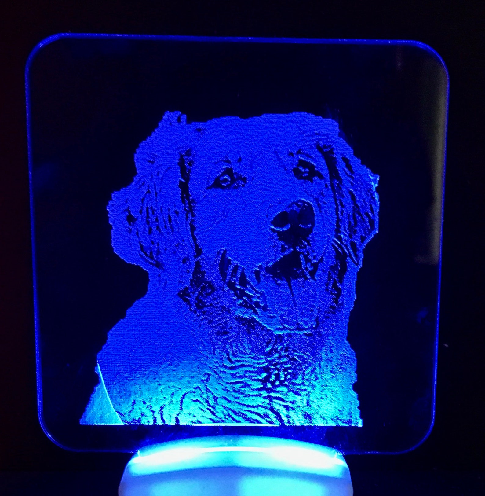 Golden Retriever Etched LED Night Light - Etsy