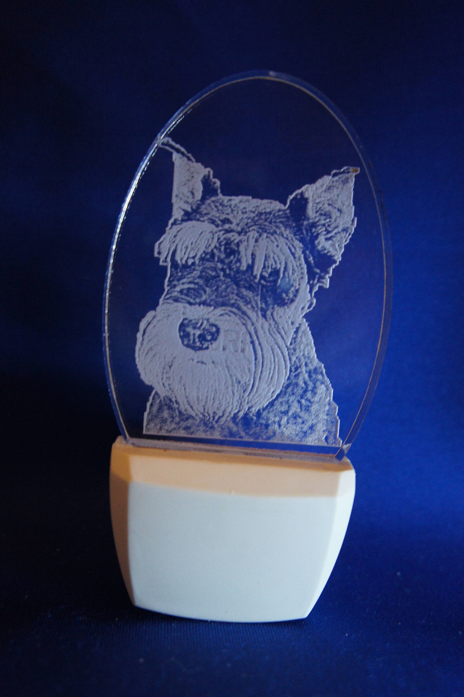 Schnauzers Cropped and Uncropped LED Night Light - Etsy