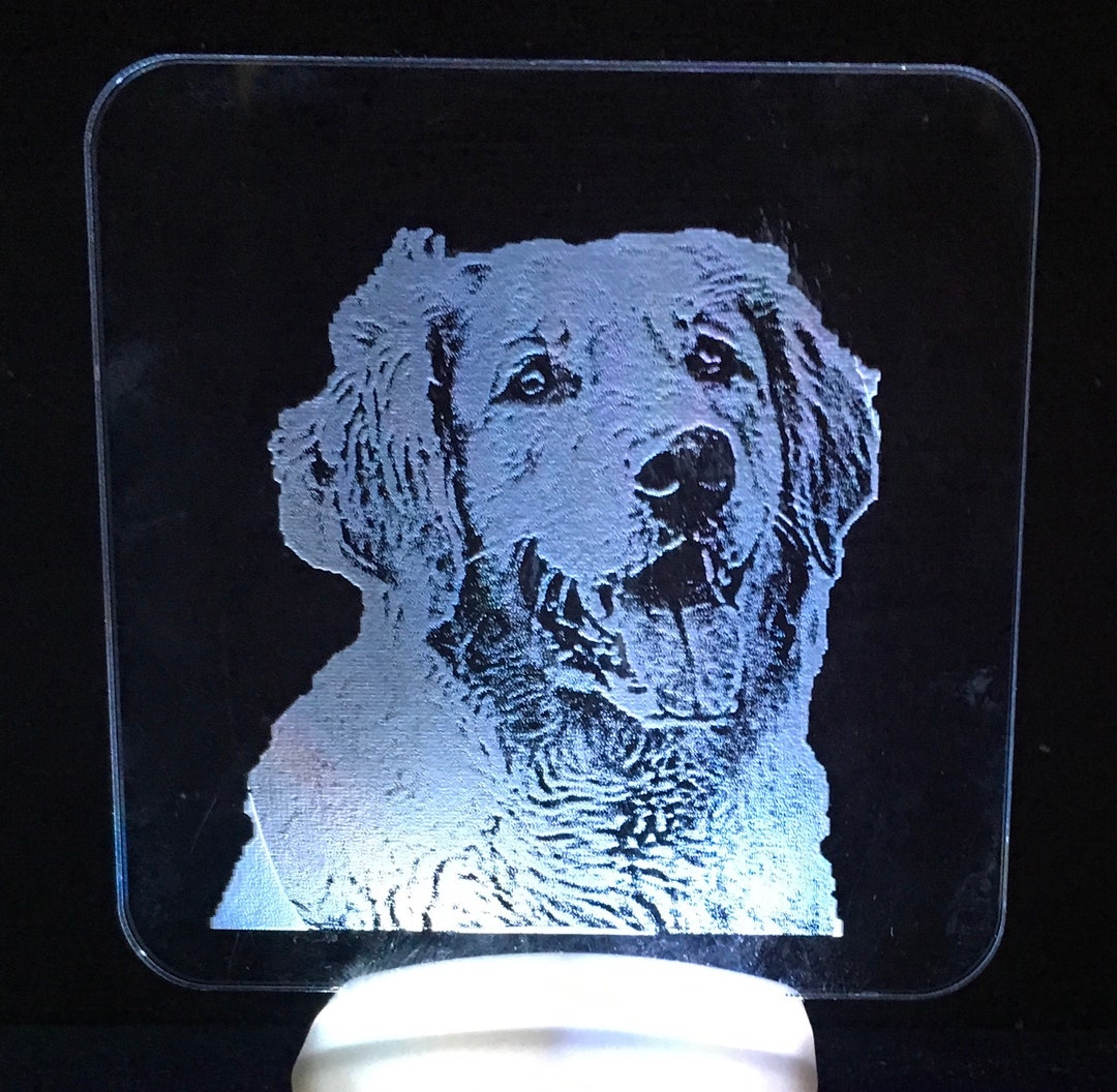 Golden Retriever Etched LED Night Light Has 8 Color Choices: White ...