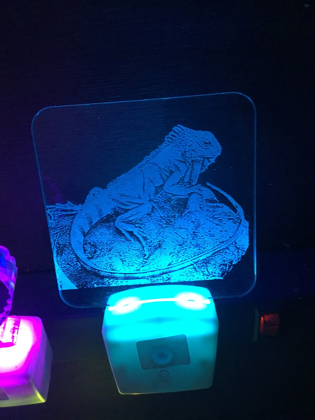 Lizard Nightlight, Etched in Clear Glass Like Acrylic, 8 Light Color ...