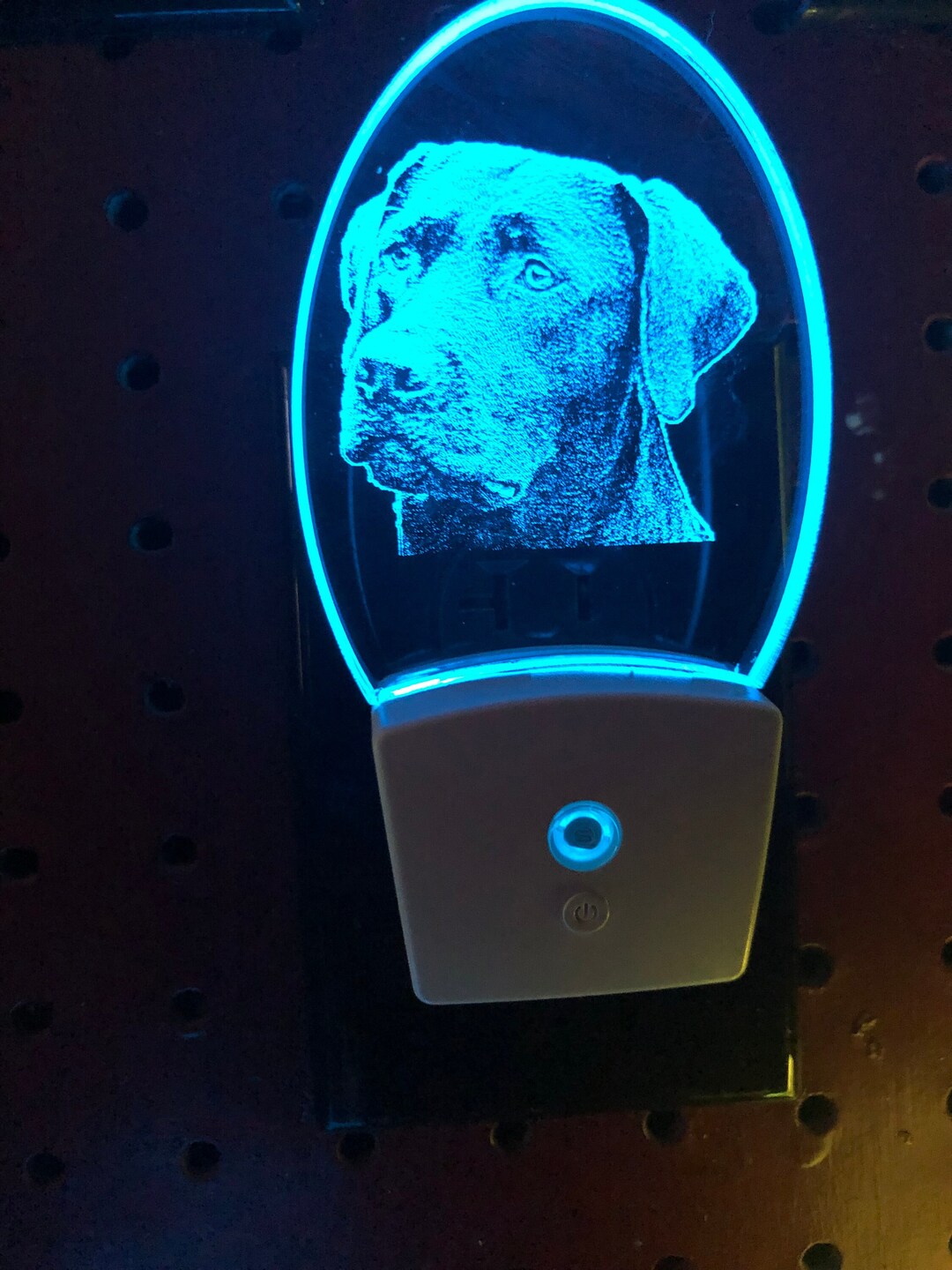 Chocolate Labrador Night in LED Plug in Light That Has 8 Color Options ...