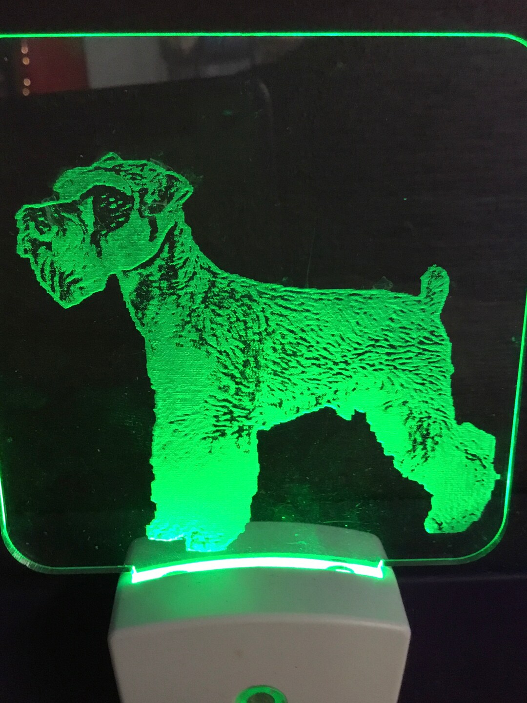 Miniature Schnauzer Uncropped Head Etched Into an LED Night Light ...