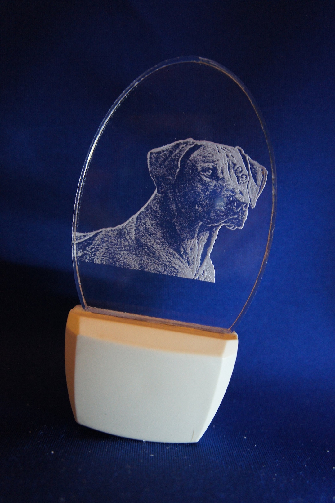 Rhodesian Ridgeback Night Light LED Light With 8 Color Options Engraved ...