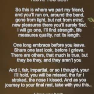 Your Dog Custom Etched in 2D, Picture Furry Friend, Lighted Photo ...