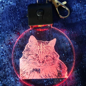 Cat Key Chain Lighted Any Breed Available - Etsy
