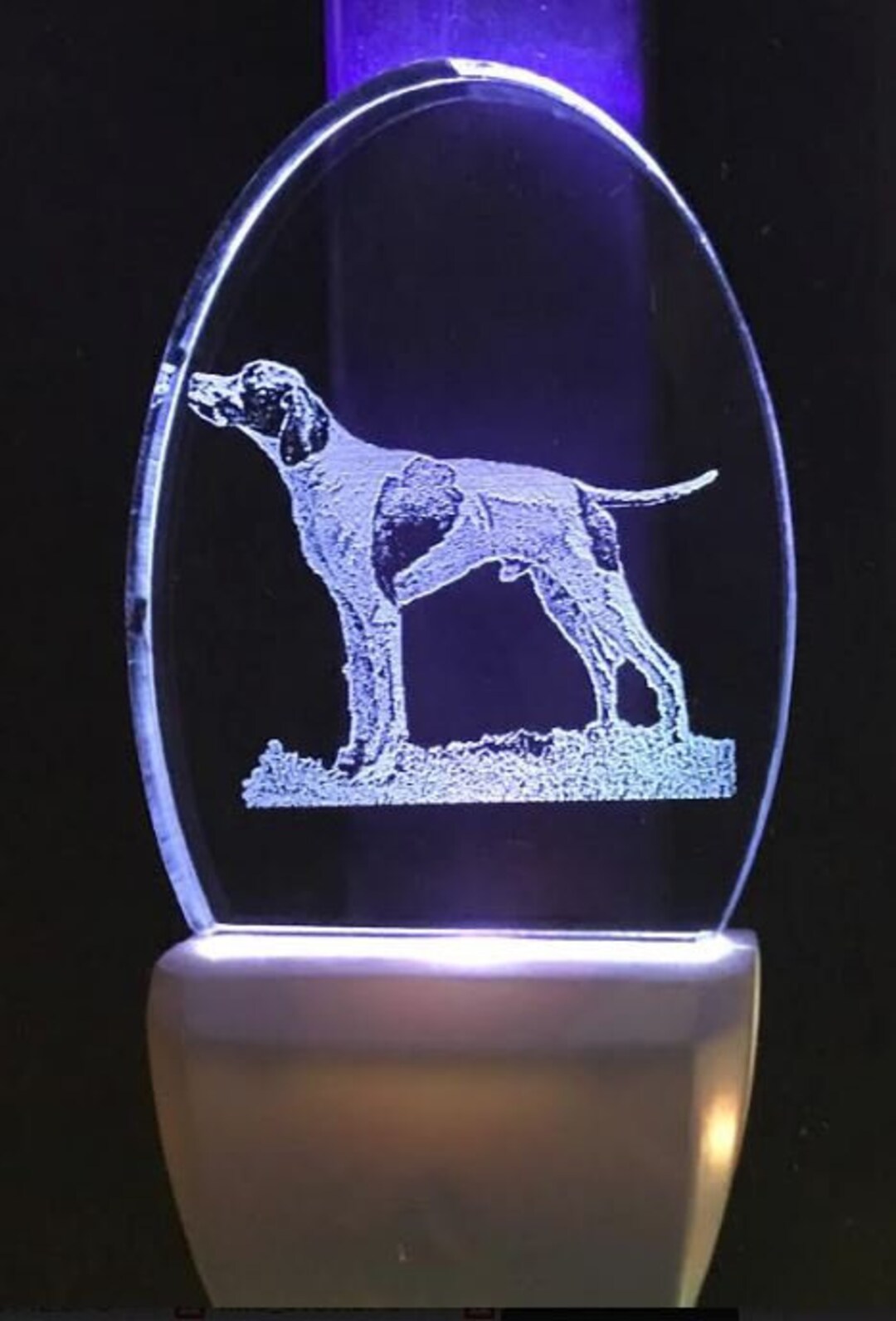 Pointer Etched Into an LED Night Light Engraved Free, 8 Color Choices ...