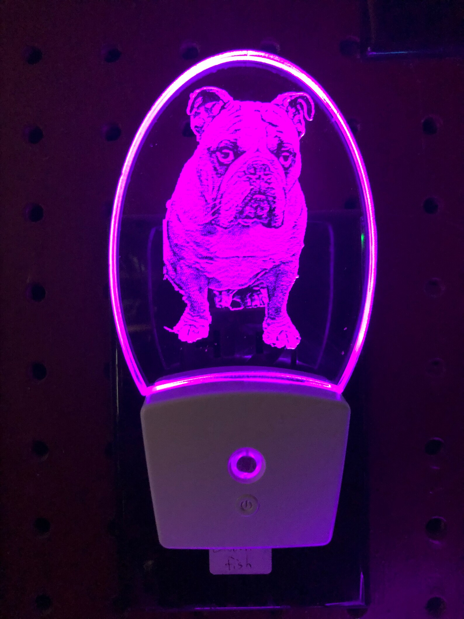 Bulldog sitting 2D etched into an LED night light in white | Etsy
