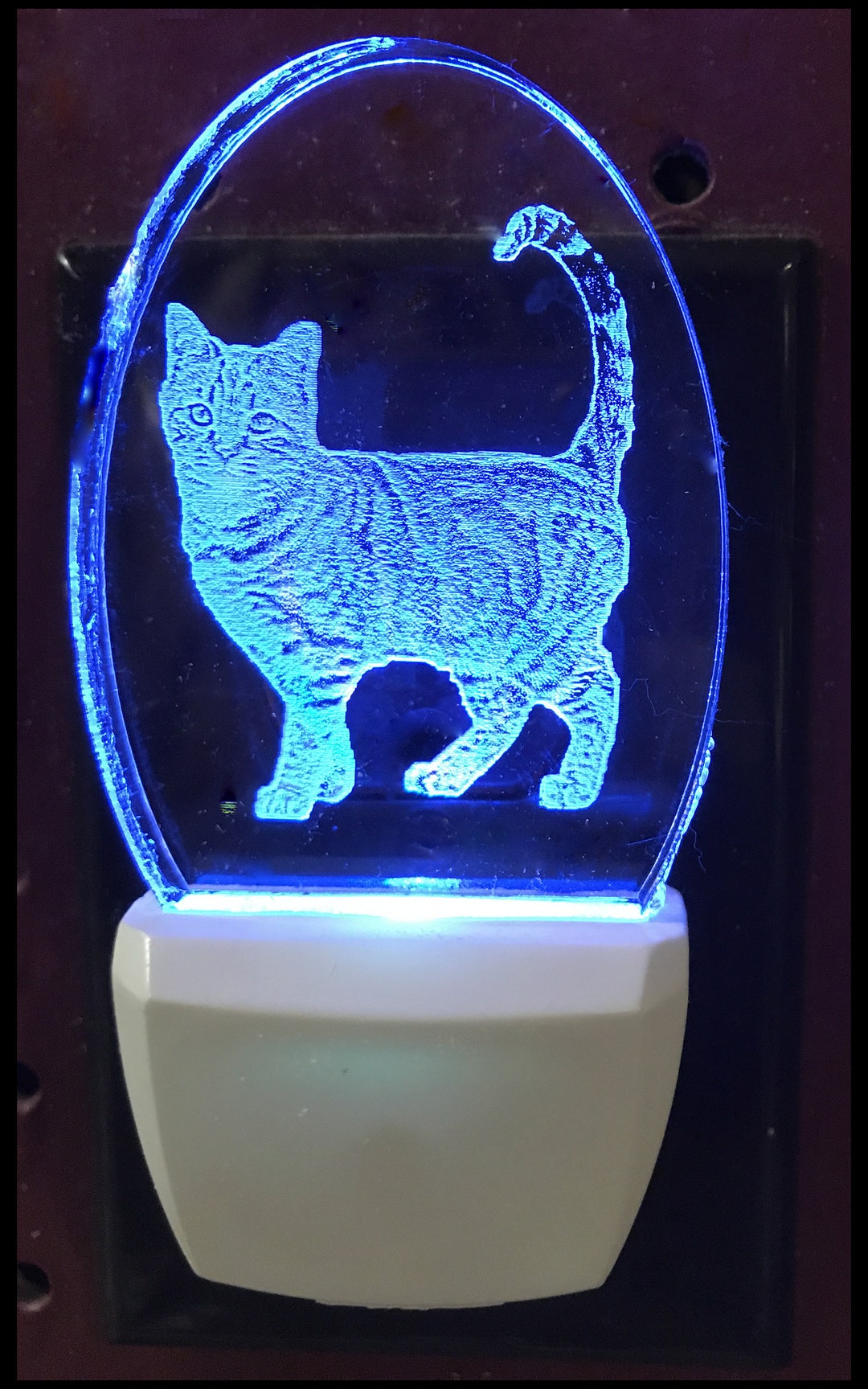 Cat Night Light Tabby Etched in Clear Glass Like Acrylic Light Has 8 ...
