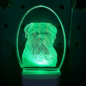 Bull Mastiff Night Light - Etsy