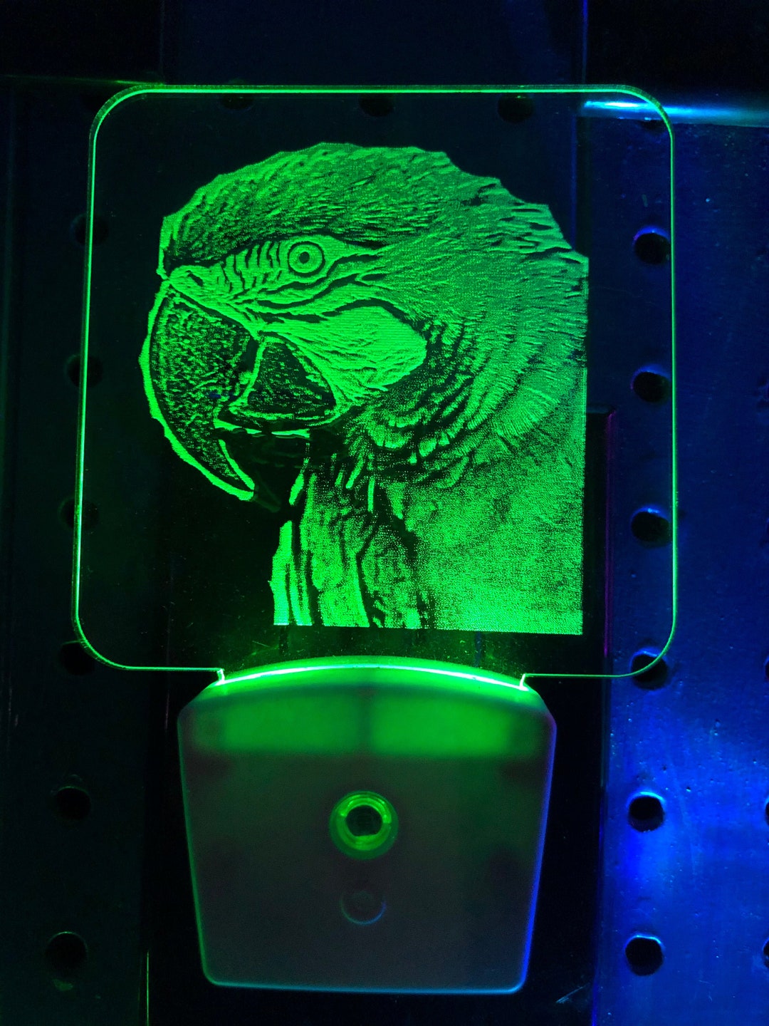 Parrot Night Light Etched, Changes Through 7 Different Colors - Etsy