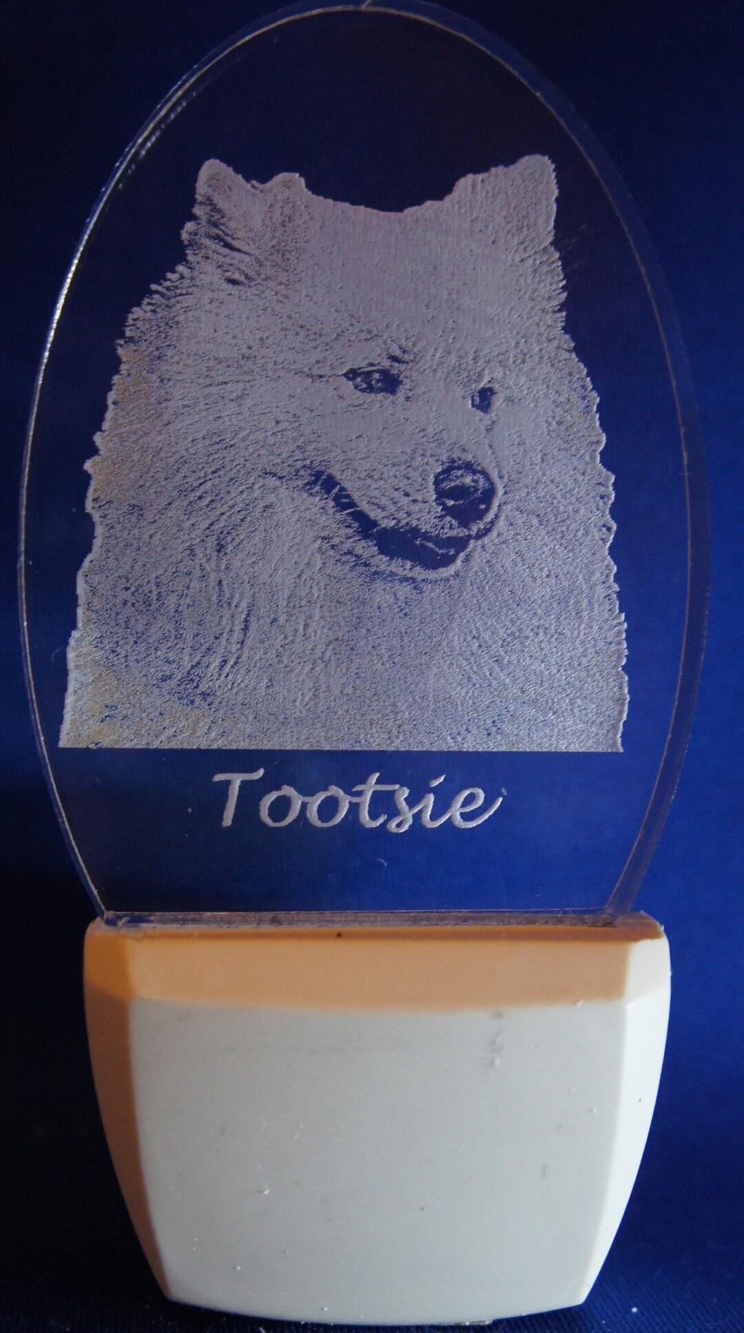 American Eskimo Head Etched Into an LED Night Light in White, Blue or ...