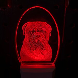 Bull Mastiff Night Light - Etsy