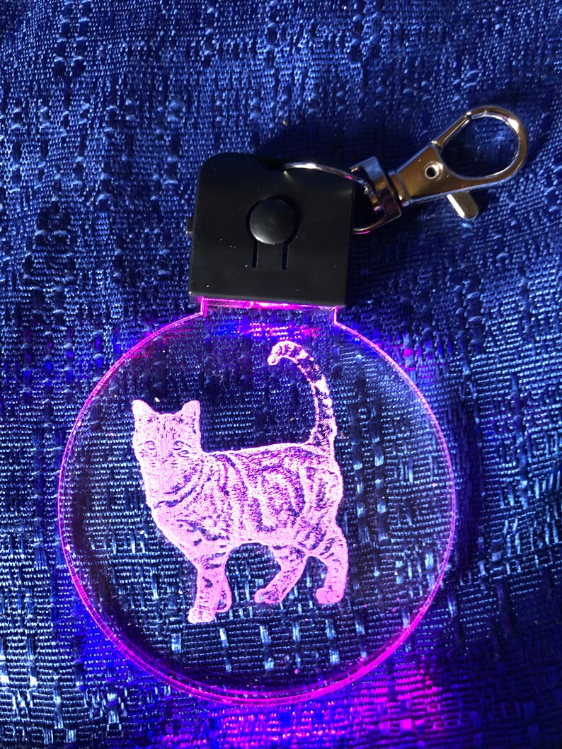 Cat Key Chain Lighted Any Breed Available - Etsy
