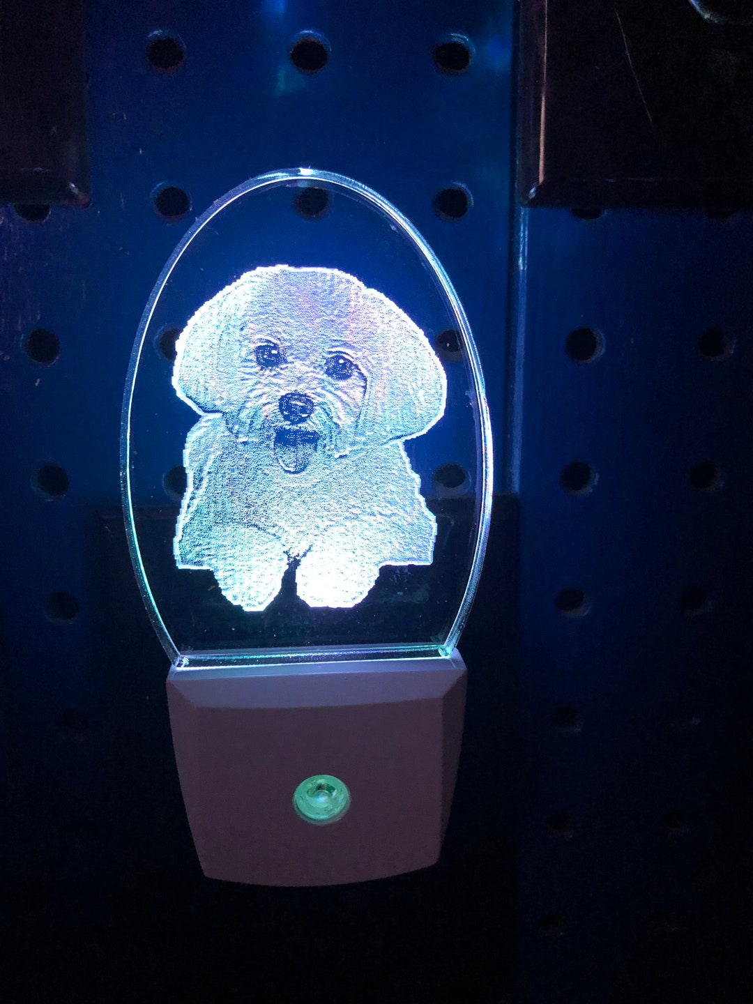 Maltese Night Light, Etched O an LED Light With 8 Color Options Dog ...