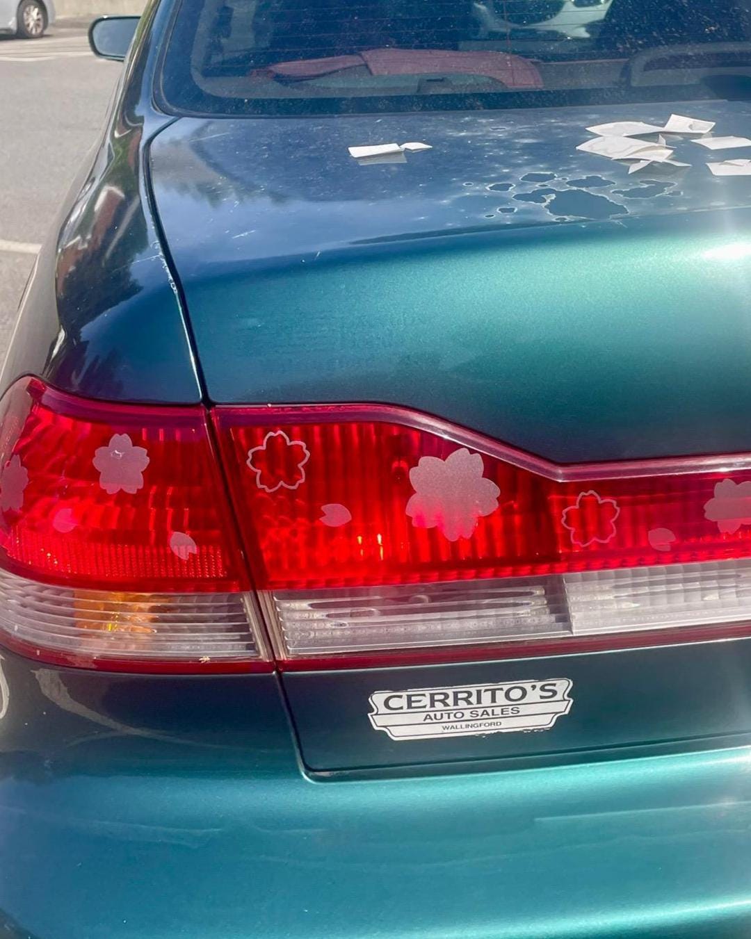 Cherry Blossom Sakura Frosted Car Decal Taillight Headlight Etched ...