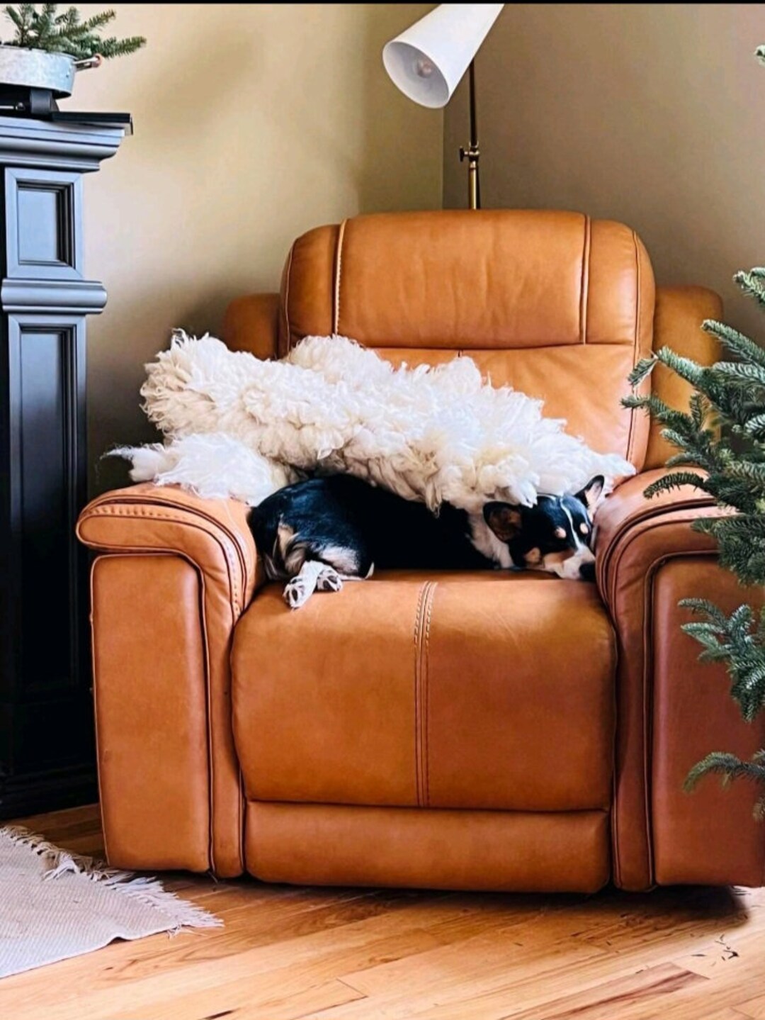 Hand Made Pet Bed Sheep Friendly Felted Fleece Dog Cat Bed Liner - Etsy