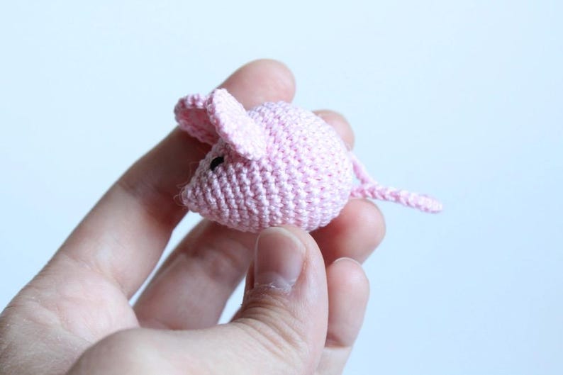 Tiny Mouse Crochet Pattern, Easy-to-follow Instructions, Crochet Toy - Etsy