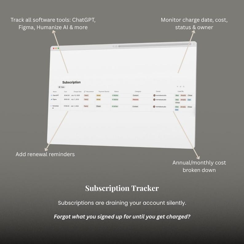 Finance Tracker Notion | Small Business Budget - Etsy Singapore
