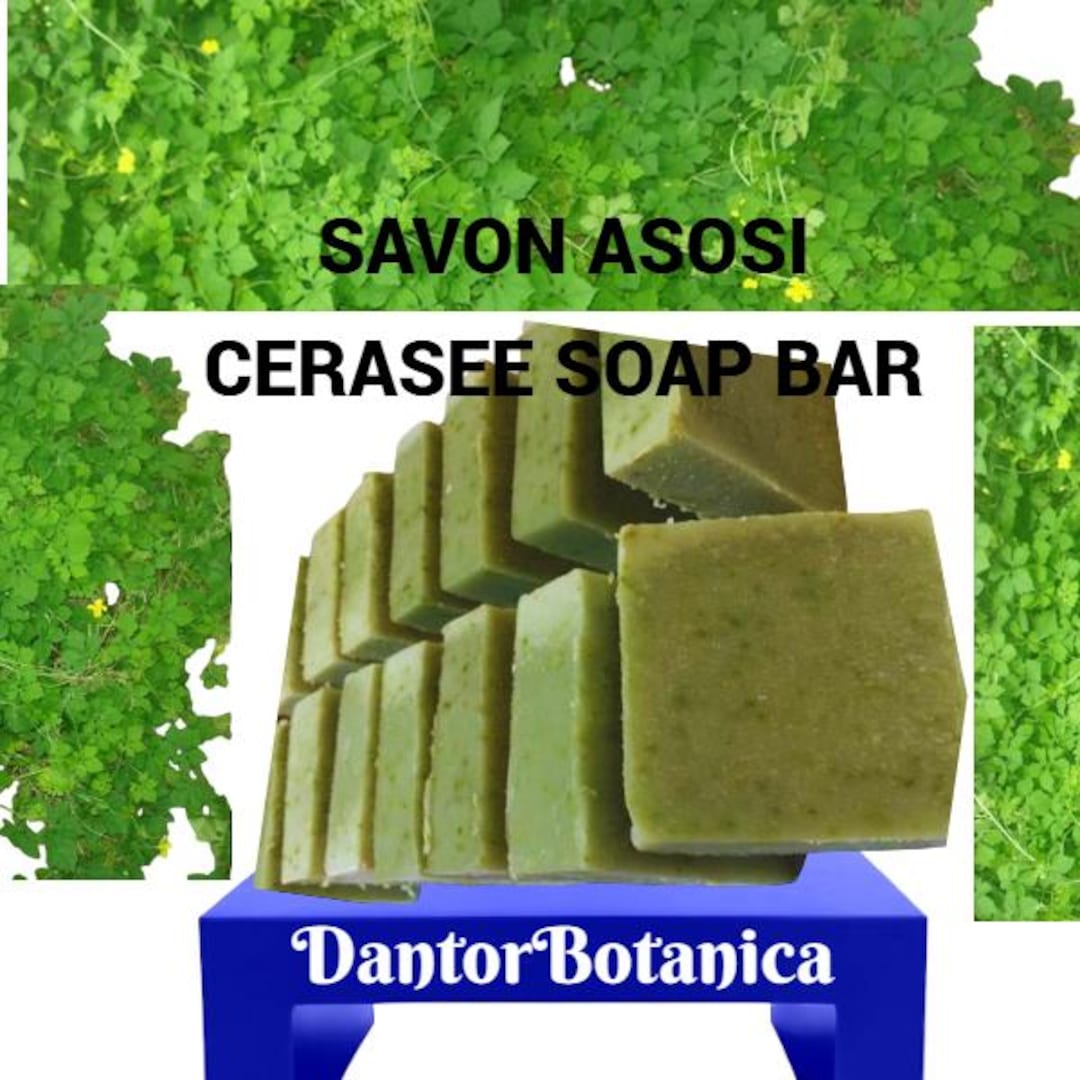 Cerasee Soap Bar, Savon Asosi, Bitter Melon Soap, Natural Soap ...