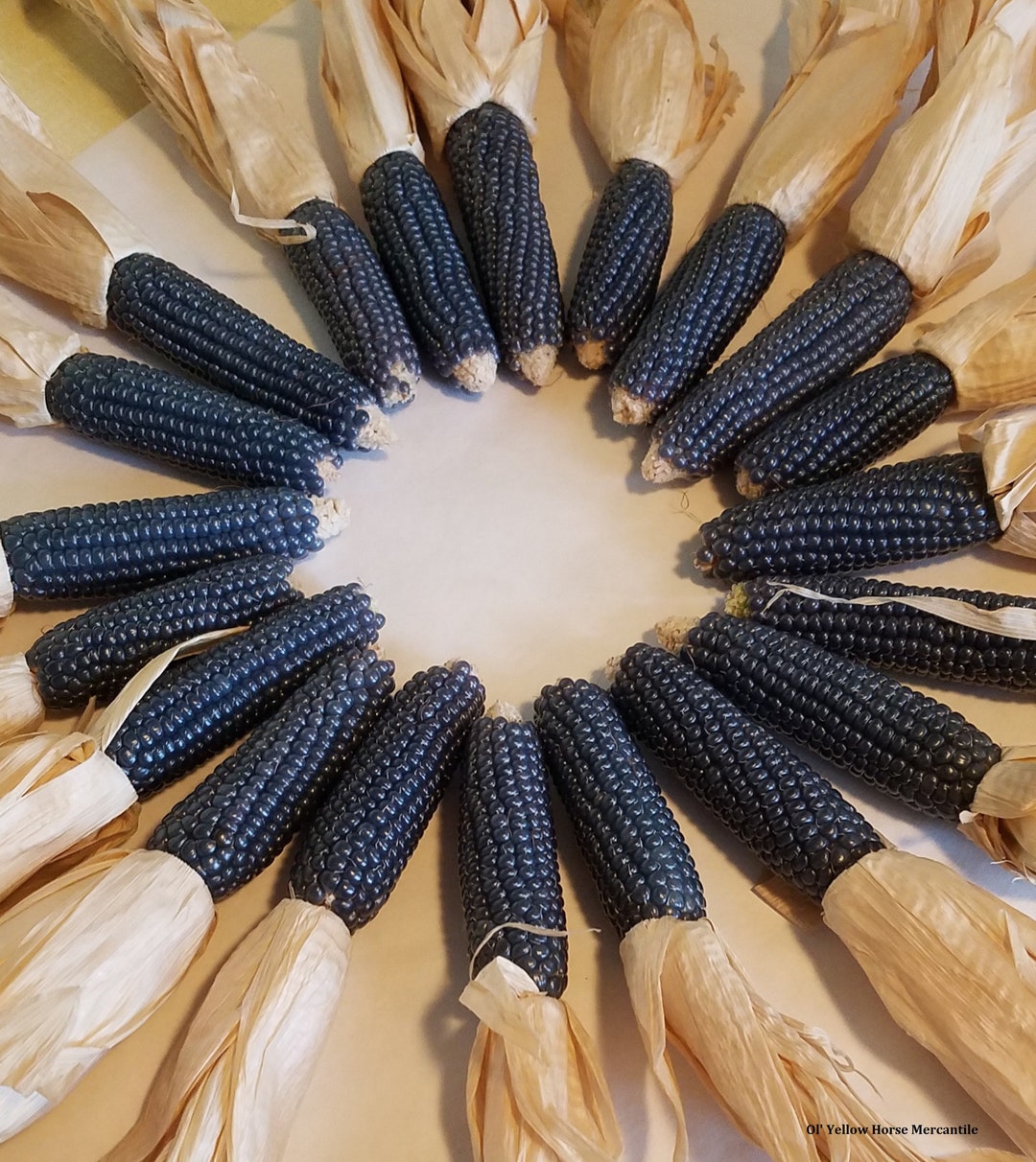 Baby Blue Popcorn Seeds / Mini Corn / 50 Seeds / Heirloom Open ...