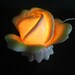 Vintage Porcelain Yellow Rose Night Light - Etsy