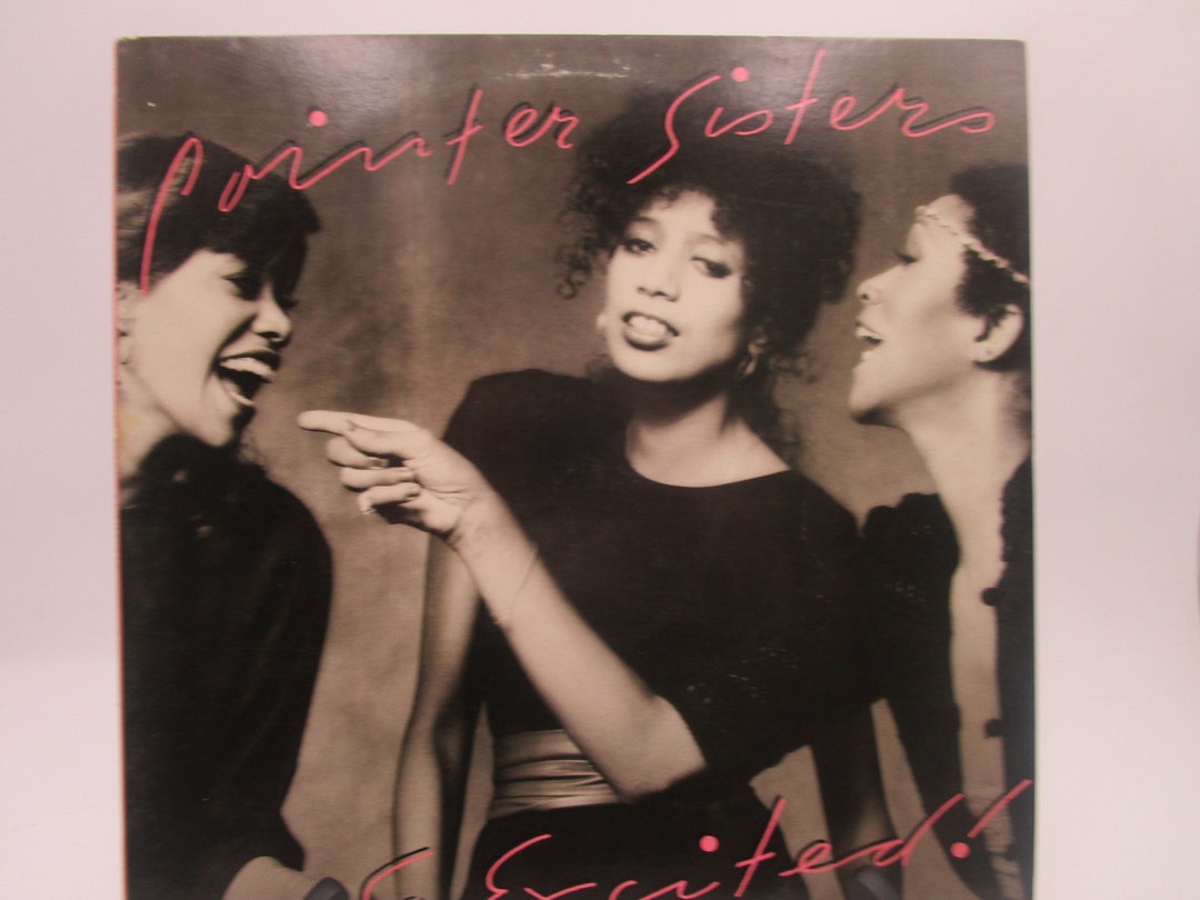 Pointer Sisters 'i'm so Excited' 1982 Album - Etsy
