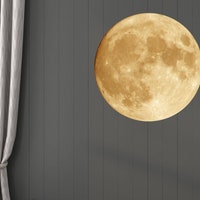 Full Moon Spook, Full Moon, Blood Moon, Silhouette, Spooky Moon ...